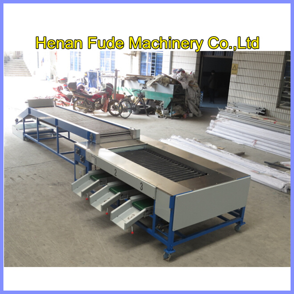 dates sorting machine, dates grading machine