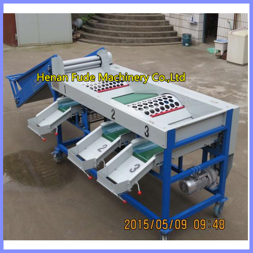 garlic grading machine, garlic sorting machine