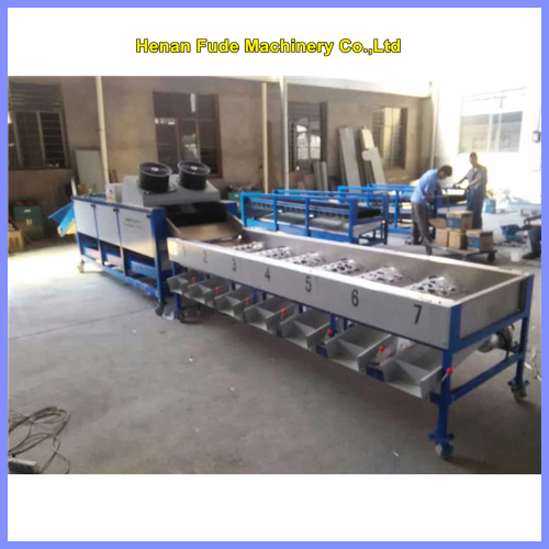 lemon cleaning waxing and grading machine, lemon sorting machine