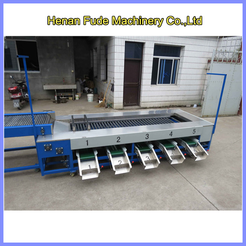 dates sorting machine, date grading machine, dates sorter, date grader