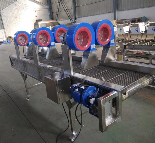 plum cleaning drying grading machine,plum sorting machine,plum grading machine