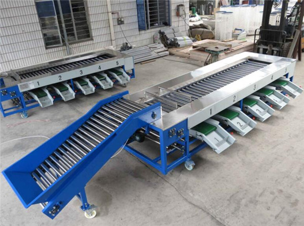 Mangosteen grading machine , mangosteen sorting machine, mangosteen sorter grader