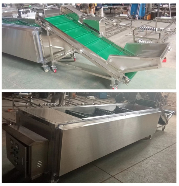 Mushroom grading machine, mushroom sorting machine, mushroom sorter Mushroom grading machine, mushroom sorting machine, mushroom sorter