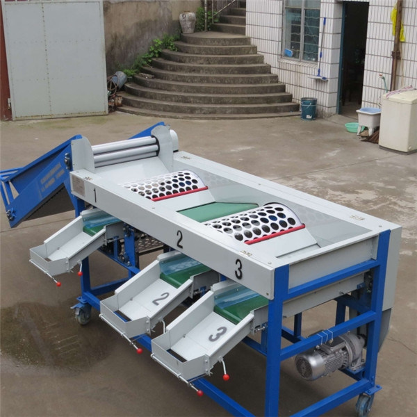 small garlic grading machine , garlic sorting machine, garlic sorter ...
