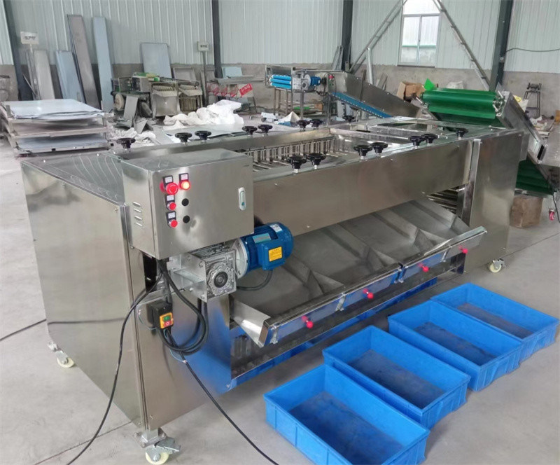 cheapest potato sorting machine, potato grading machine, potato sorter ...