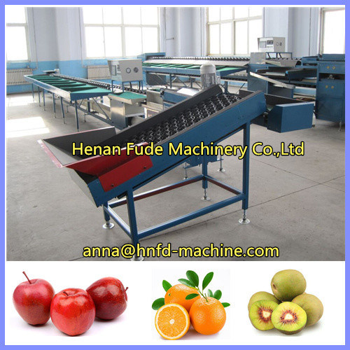 kiwi fruit grading machine, orange sorting machine, apple weigher ...
