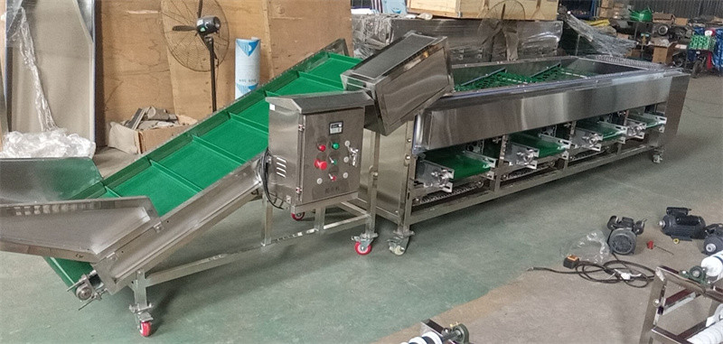 onion sorting machine, onion grading machine, onion sorter grader