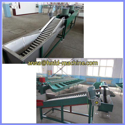 orange washing , fan drying and grading machine,apple cleaning sorting ...